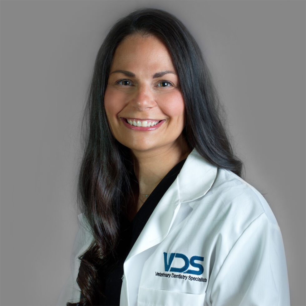 Team - Veterinary Dentistry Specialists | Our Veterinary Specialists