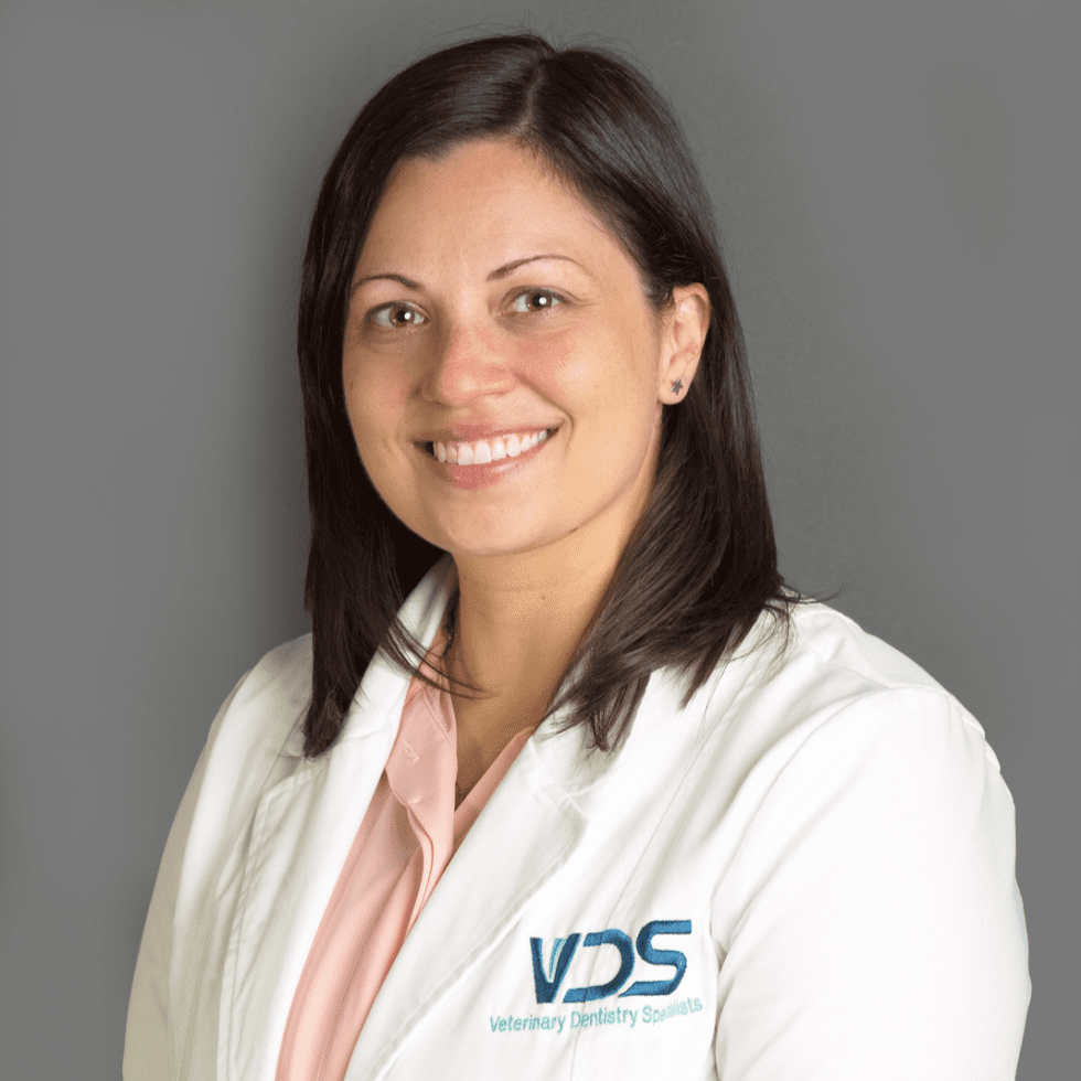 Team - Veterinary Dentistry Specialists | Our Veterinary Specialists