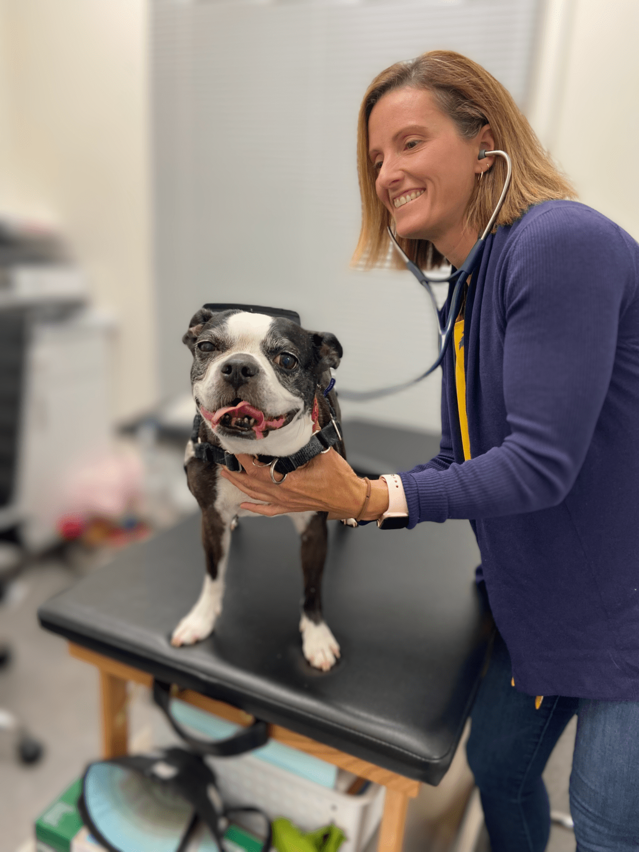 Cardiology - Veterinary Dentistry Specialists | Veterinary Cardiac Care